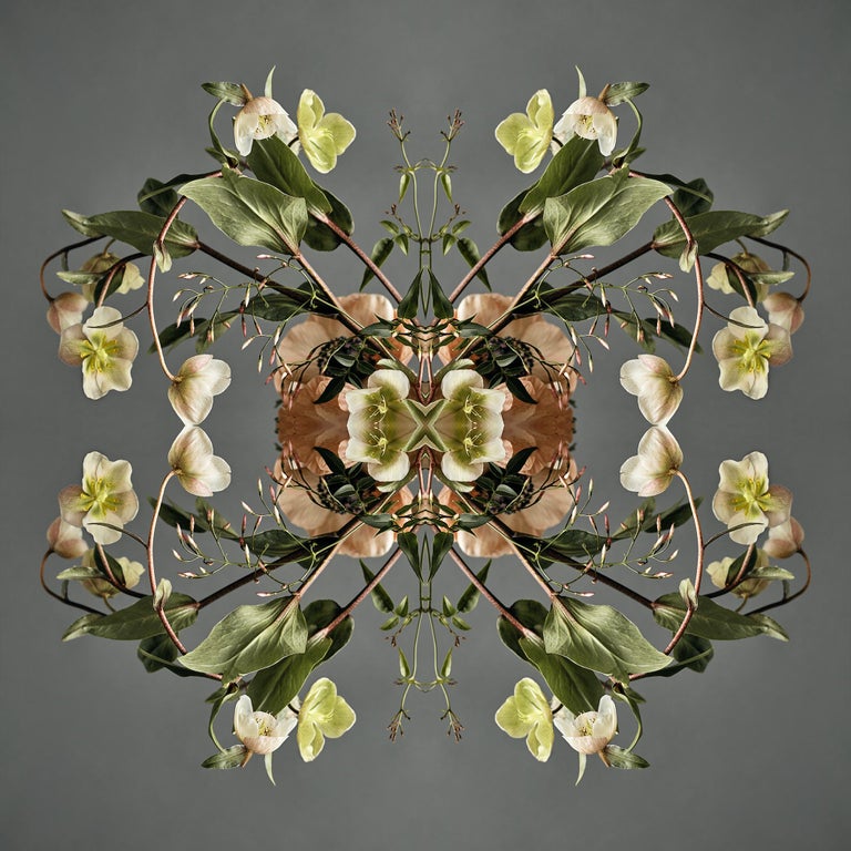 Erin Derby - No. 60 For Sale at 1stDibs
