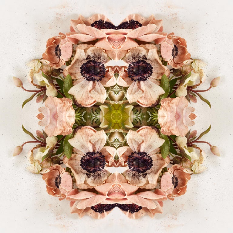 Erin Derby - No. 71 For Sale at 1stDibs