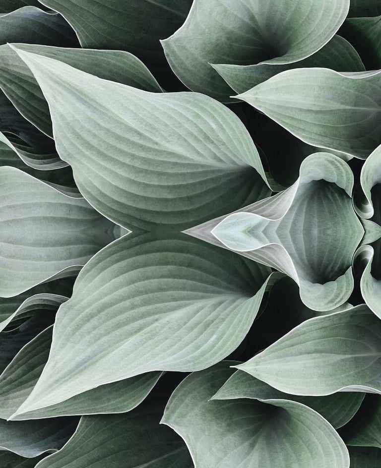 Erin Derby - No. 84 - Edition 1 of 50 For Sale at 1stDibs