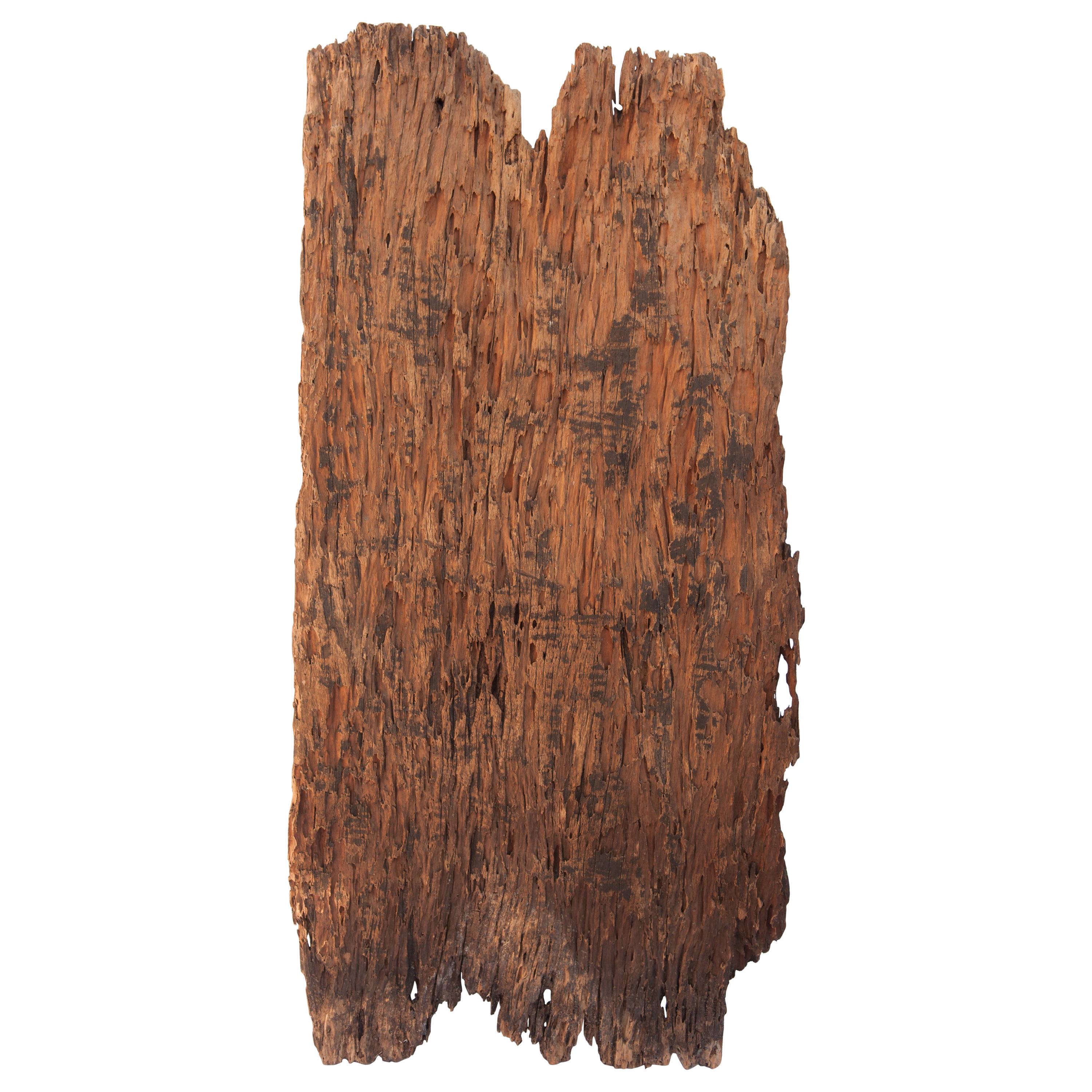 Eroded Wooden Door Panel, Kerinci, Sumatra, Mid-20th Century at 1stDibs