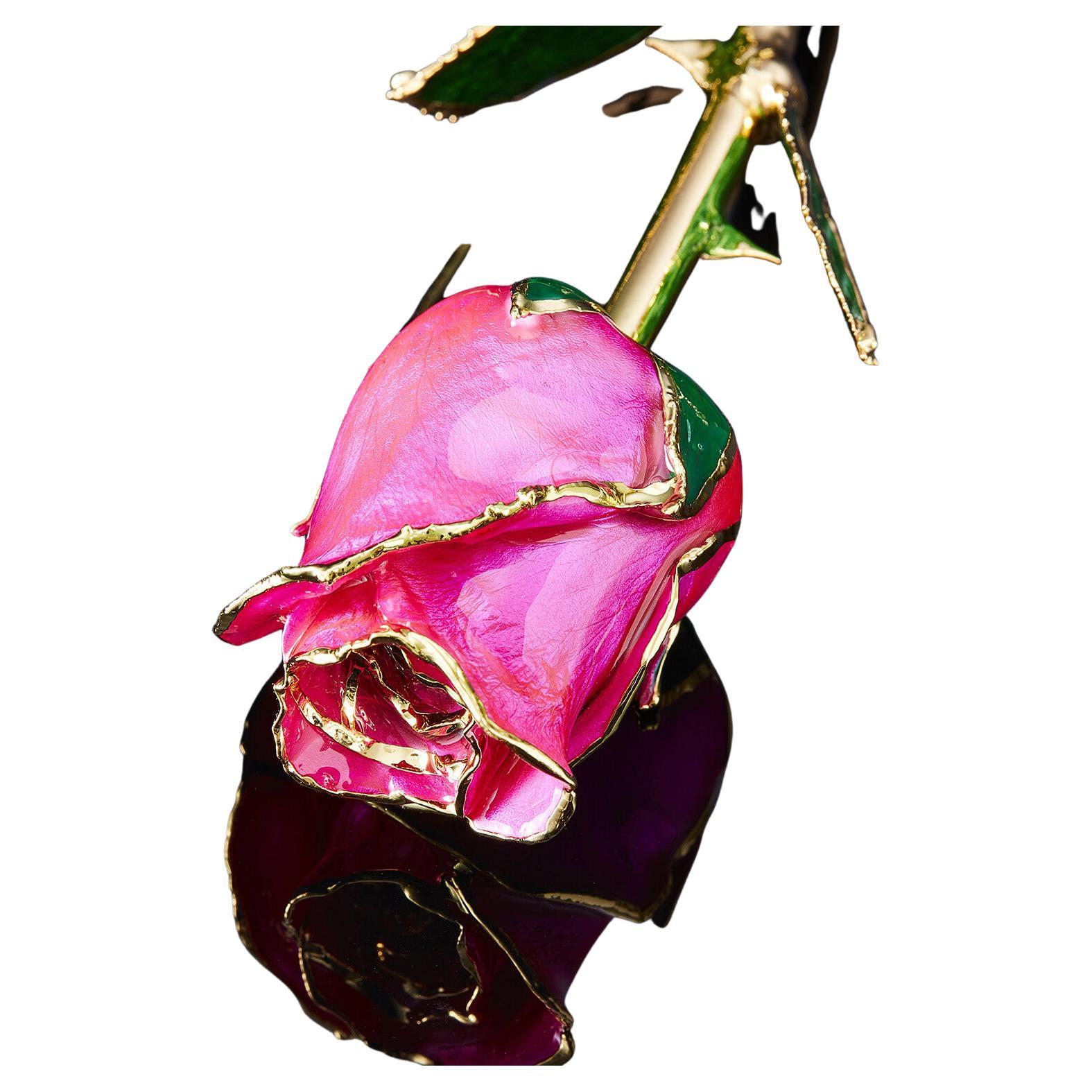 Eternal Rose Autumn Light, Light Orange, Real Rose in 24k Gold w/ LED ...