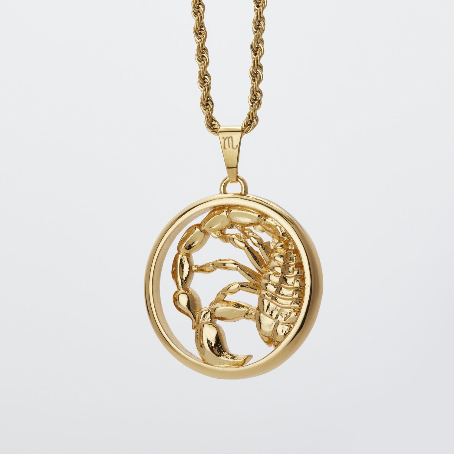 Eternally Scorpio, Pendant Necklace Dipped in 24k Gold For Sale at ...