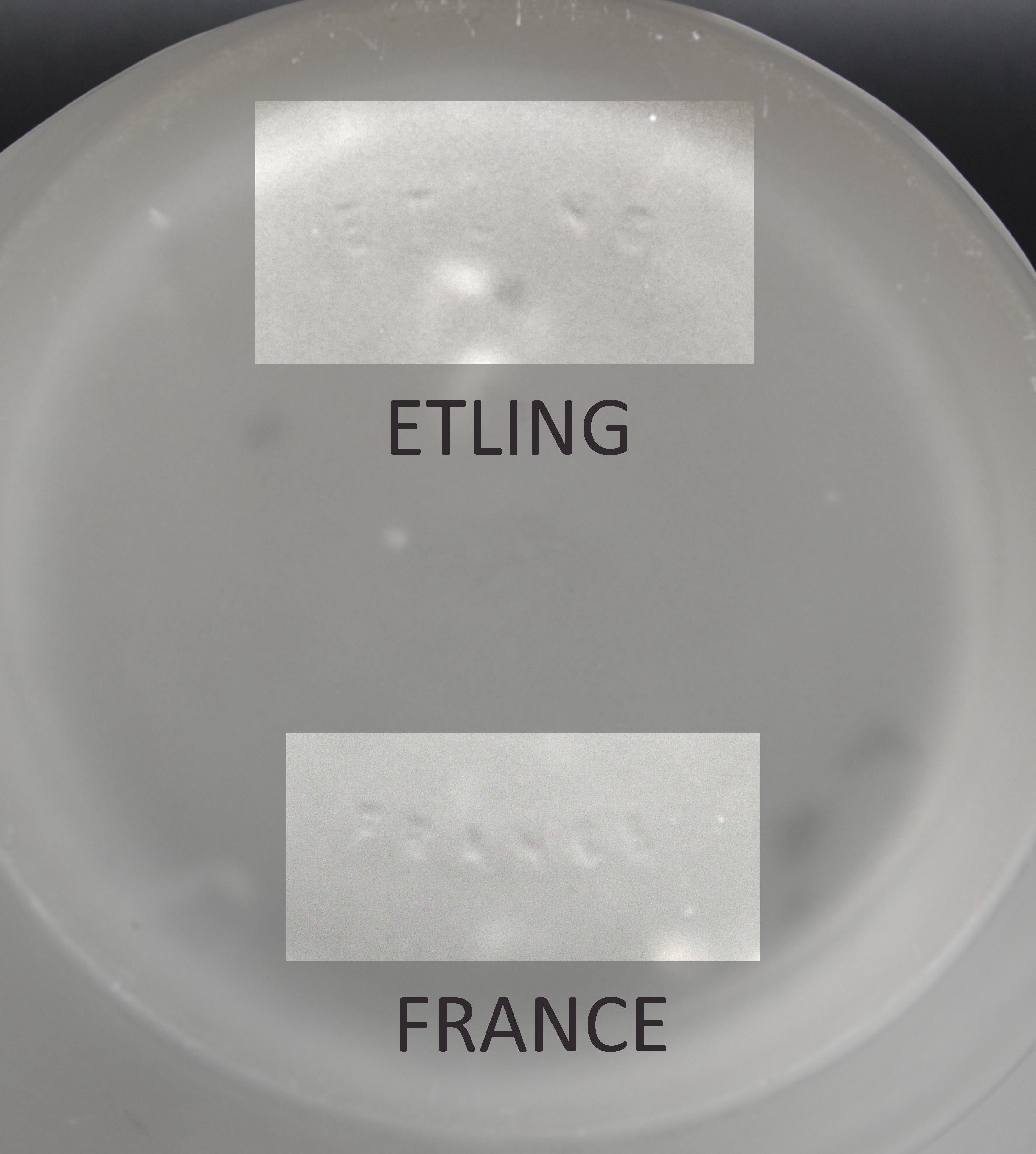 Etling French Art Deco Frosted Glass Vase, 1930 For Sale at 1stDibs