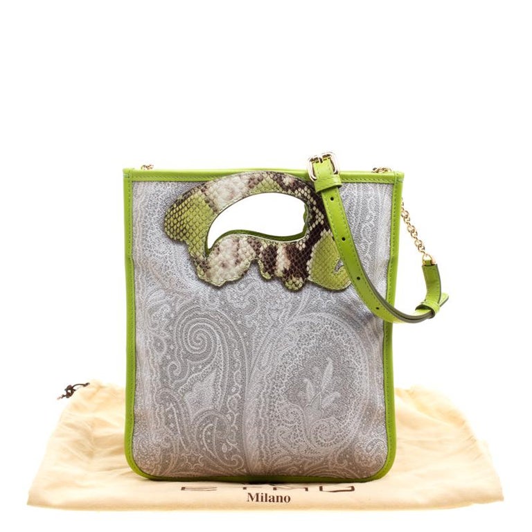 Etro Grey/Green Paisley Coated Canvas Crossbody Bag For Sale at 1stDibs ...