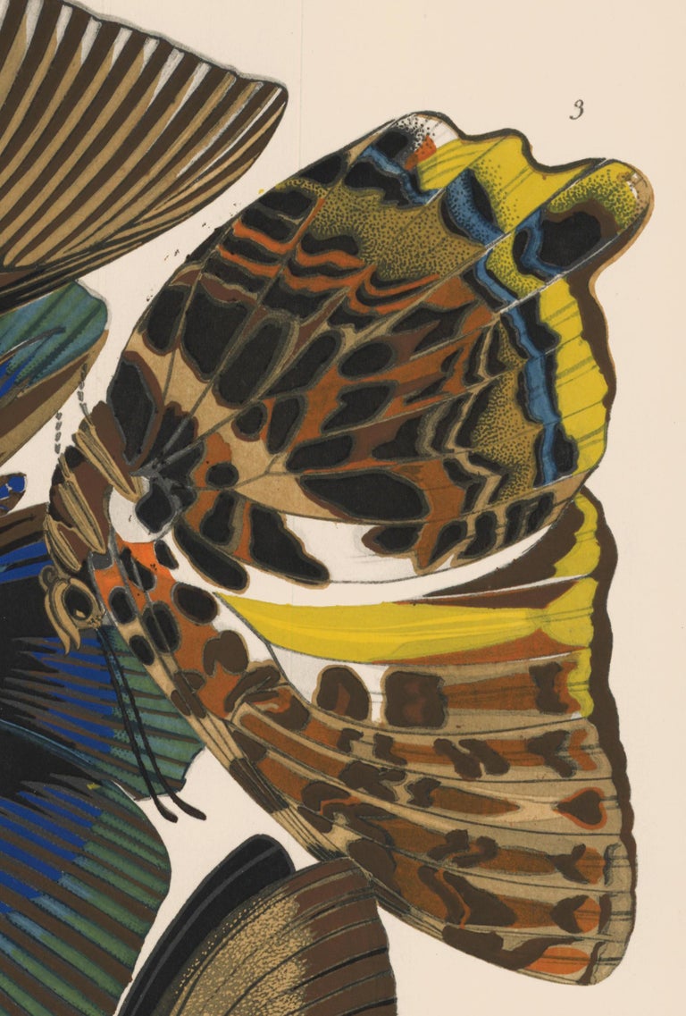 Eugene Alain Seguy - Butterfly Pochoir Print at 1stDibs