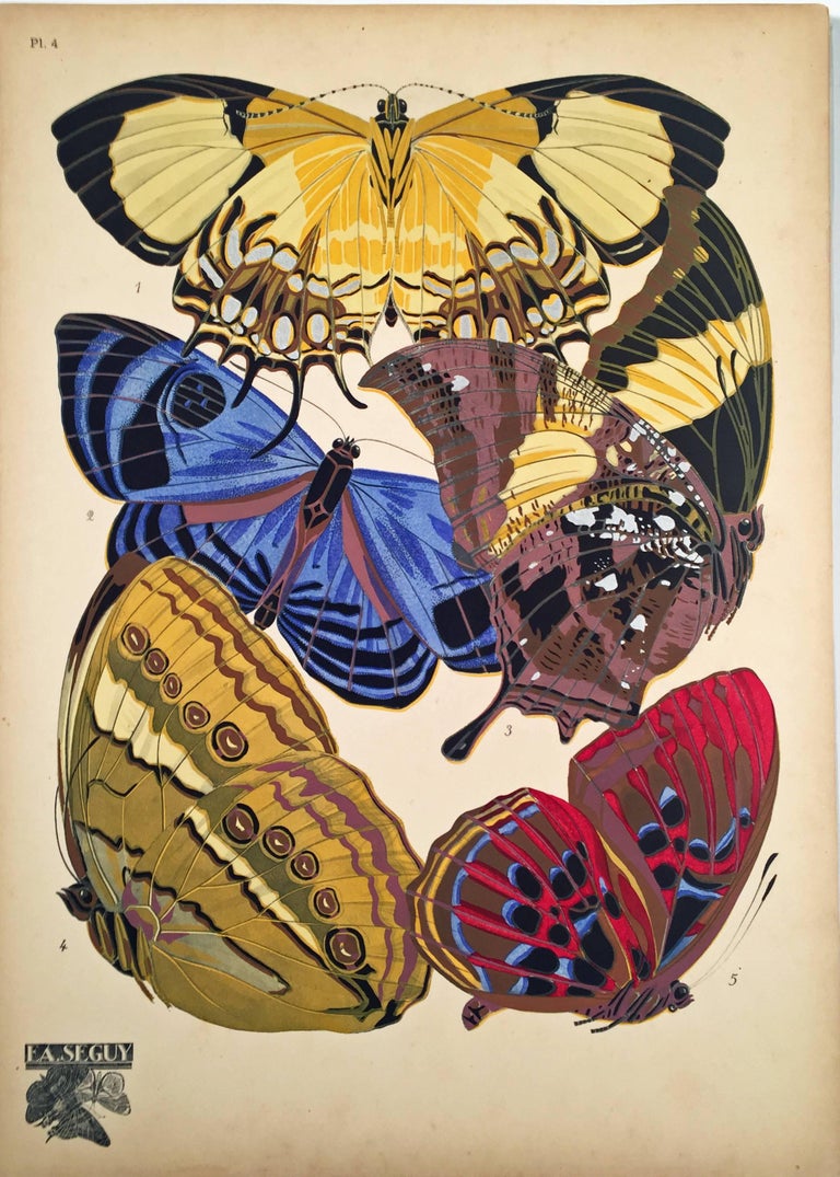Eugene Alain Seguy - PAPILLONS at 1stDibs | e a seguy papillons, eugene ...