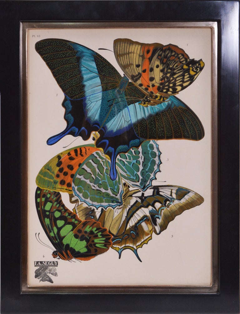 Eugene Alain Seguy - SEGUY. A Group of Six Papillons. Lithographs en ...