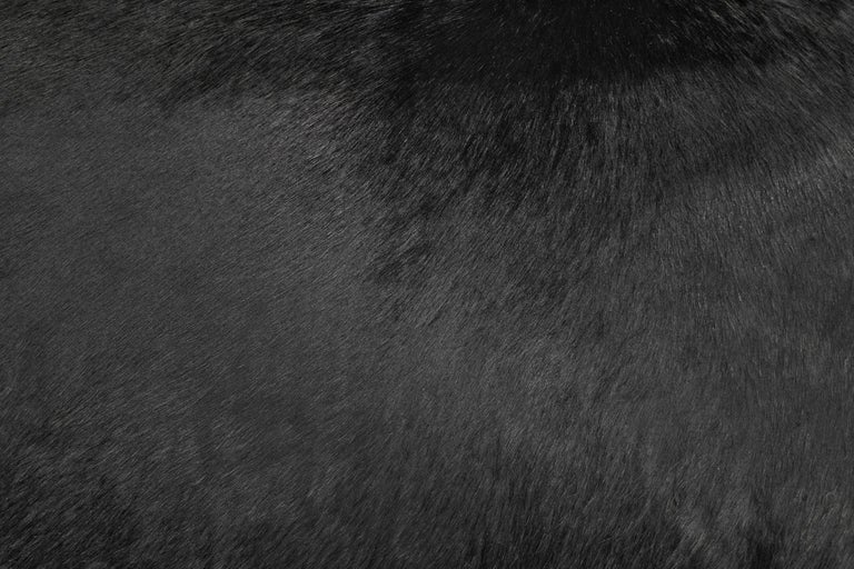 European Mid-Century Two Part Sofa in Black Cow Hide, Europe Ca 1950s ...