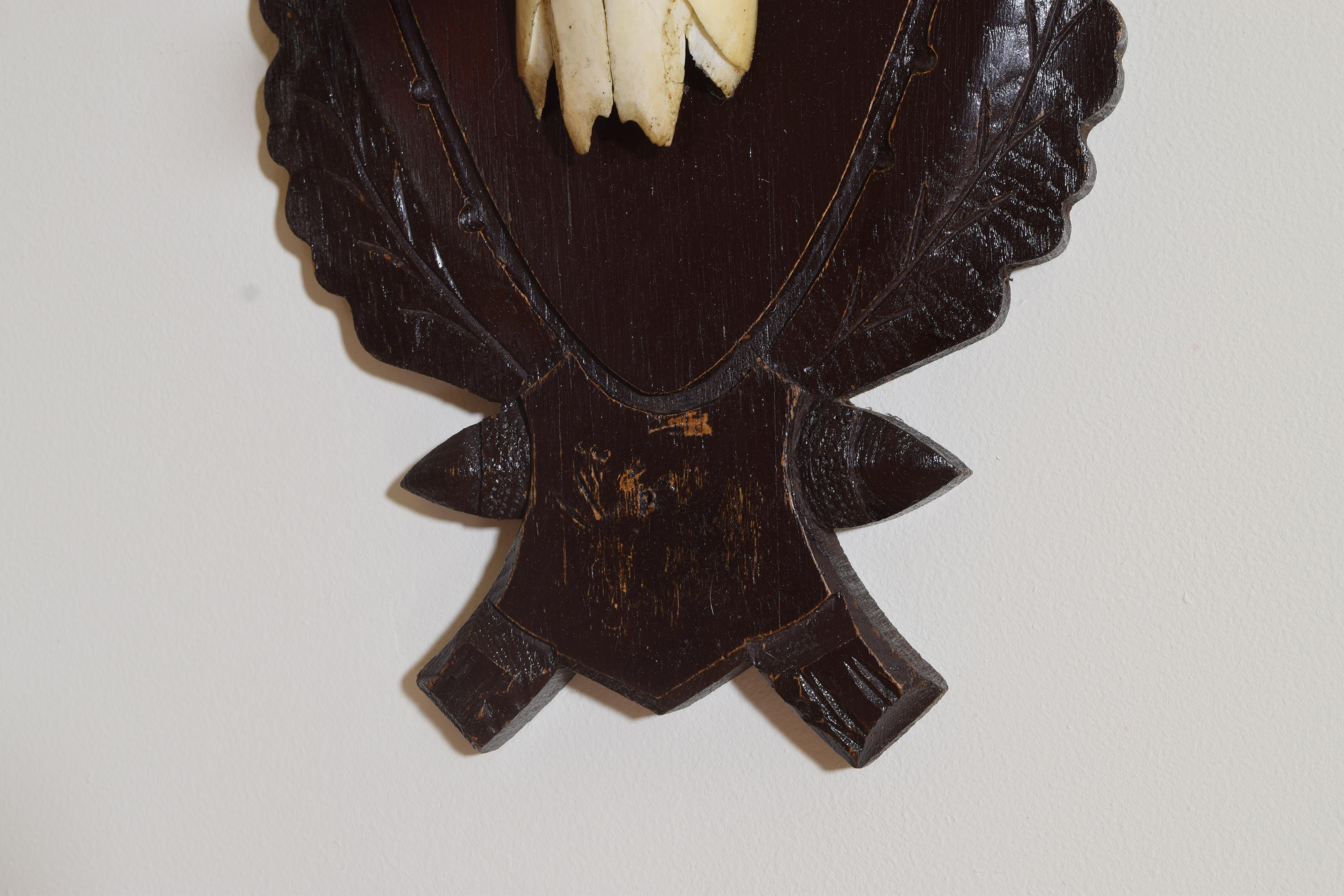 European Mule Deer Mount on Carved Oak Plaque, Early 20th Century at ...