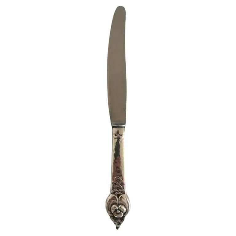 Evald Nielsen No. 2 Dinner Knife in Silver For Sale at 1stDibs