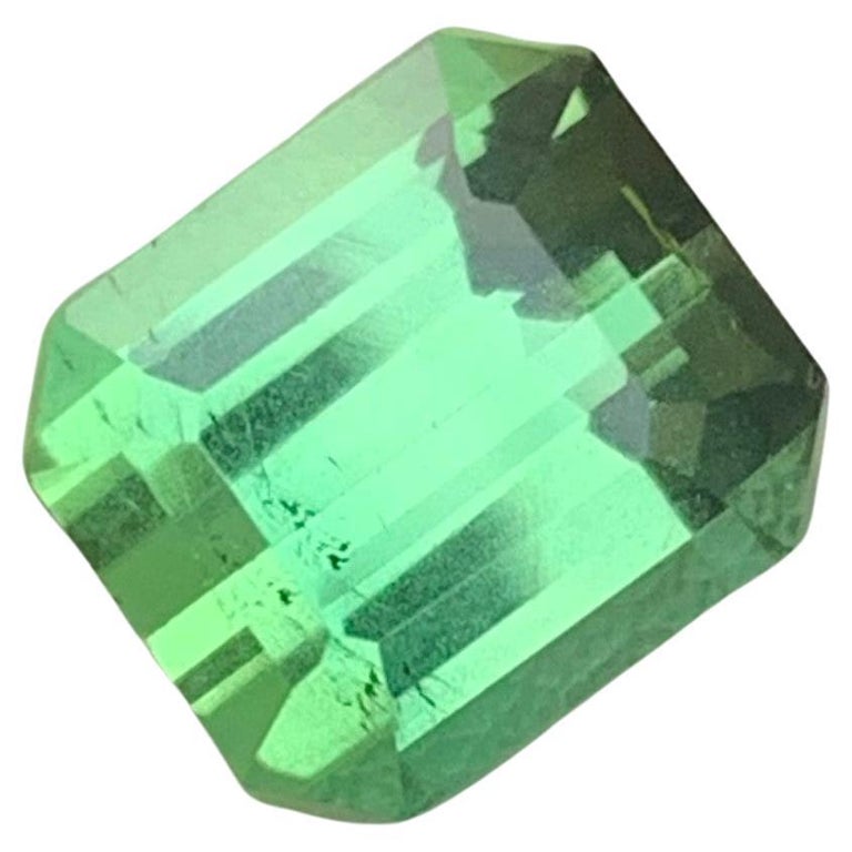Exceptional 3.65 Carat Natural Loose Mintgreen Tourmaline Emerald Cut ...