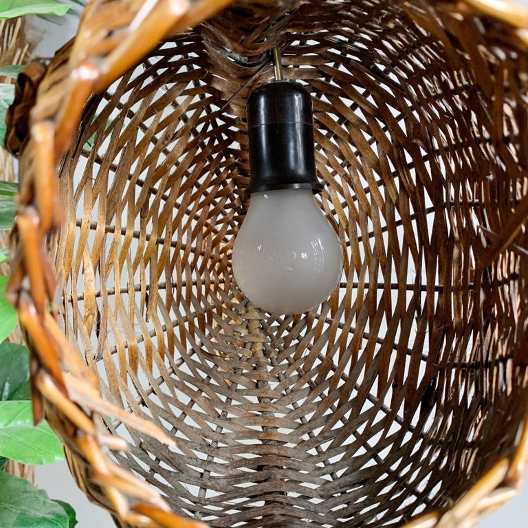 Exceptional and Rare Mid Century French Wicker Fish Ceiling Light at ...