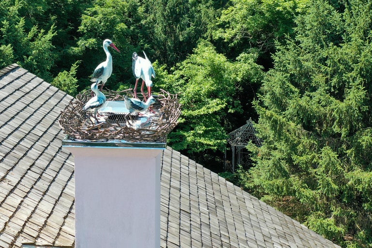 Exceptional Hand-Casted Bronze Sculptures of Storks for Rooftop ...