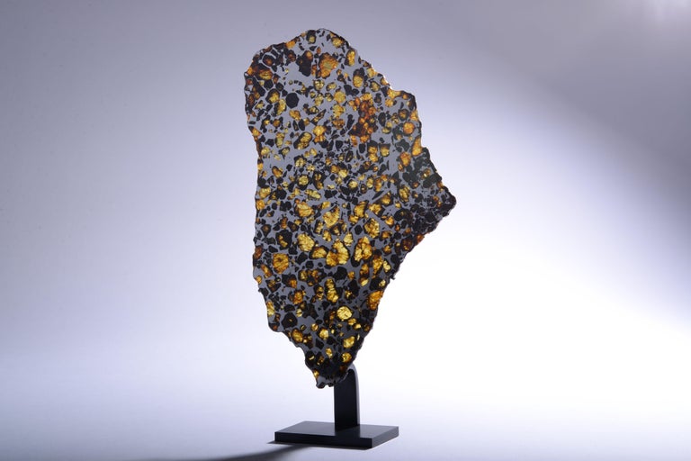Exceptional Imilac Meteorite Cross-Section For Sale at 1stDibs