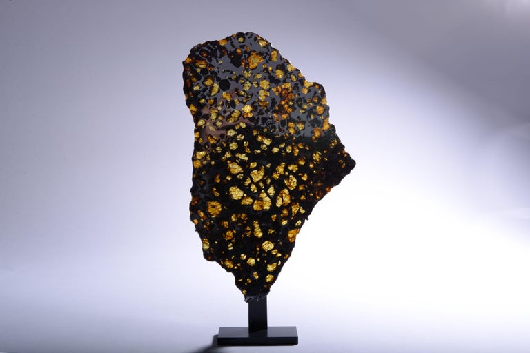 Exceptional Imilac Meteorite Cross-Section For Sale at 1stDibs