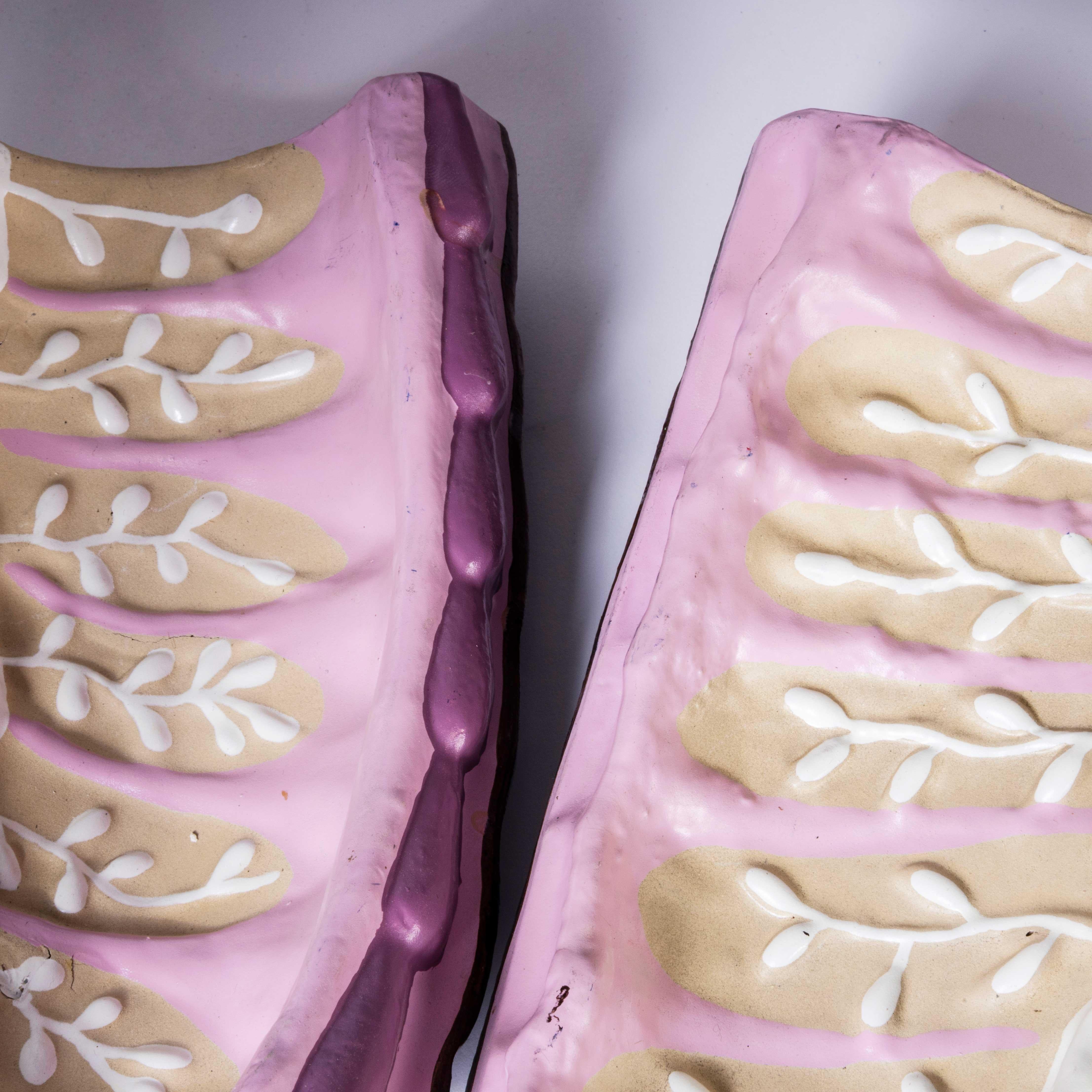 Exceptional Large Beetle University Teaching Model at 1stDibs | rhino ...