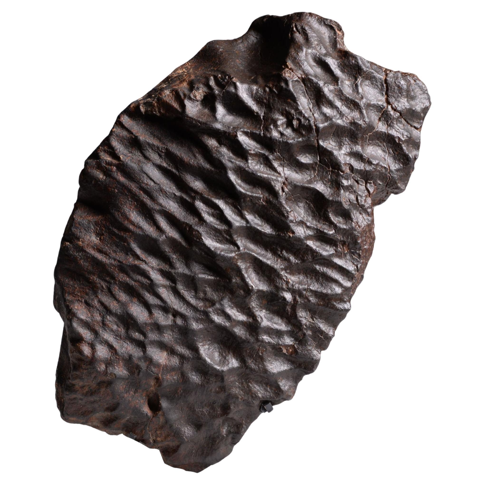 Oriented Stone Meteorite For Sale at 1stDibs