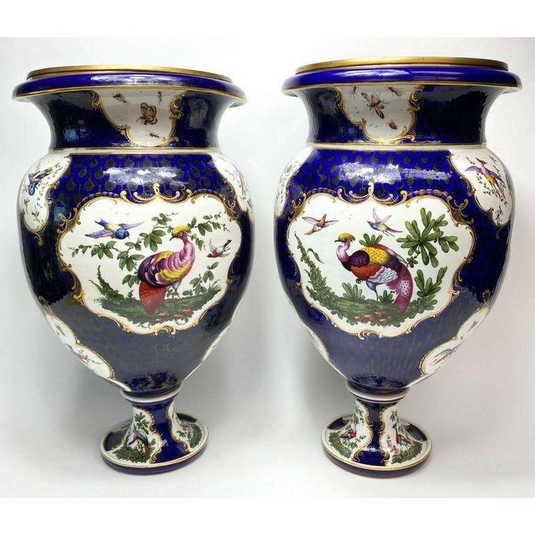 Exceptional Pair Dr. Wall Period Royal Worcester Exotic Bird Vases, C ...