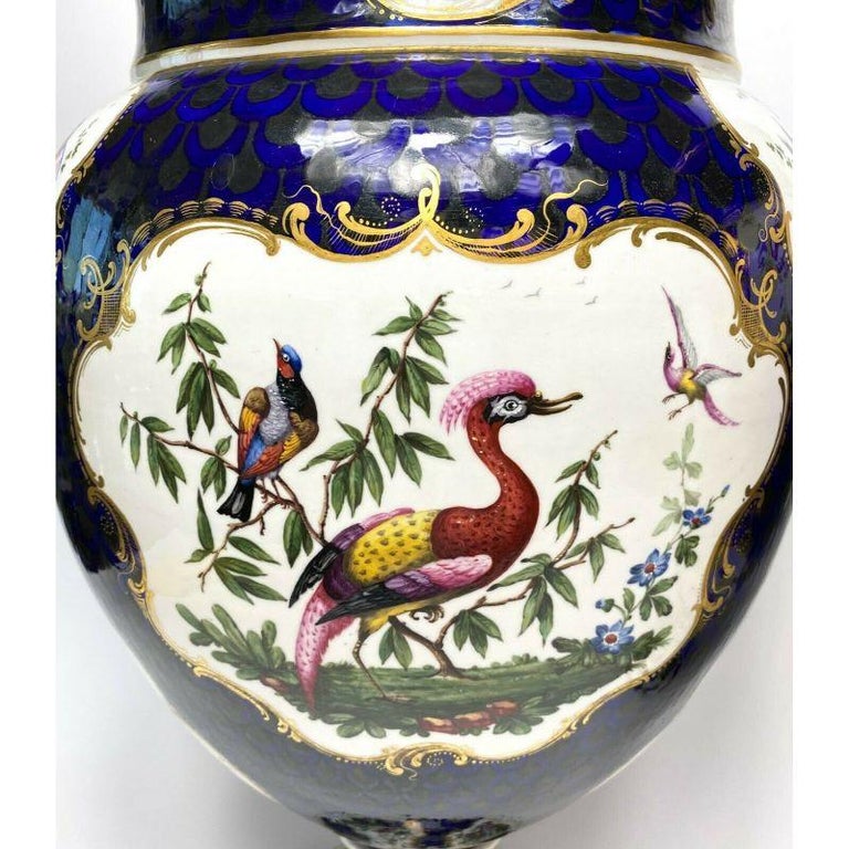 Exceptional Pair Dr. Wall Period Royal Worcester Exotic Bird Vases, C ...