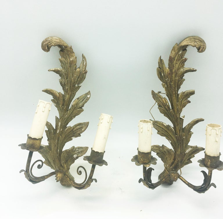 Exceptional Pair of Italian Giltwood Wall Appliques For Sale at 1stdibs