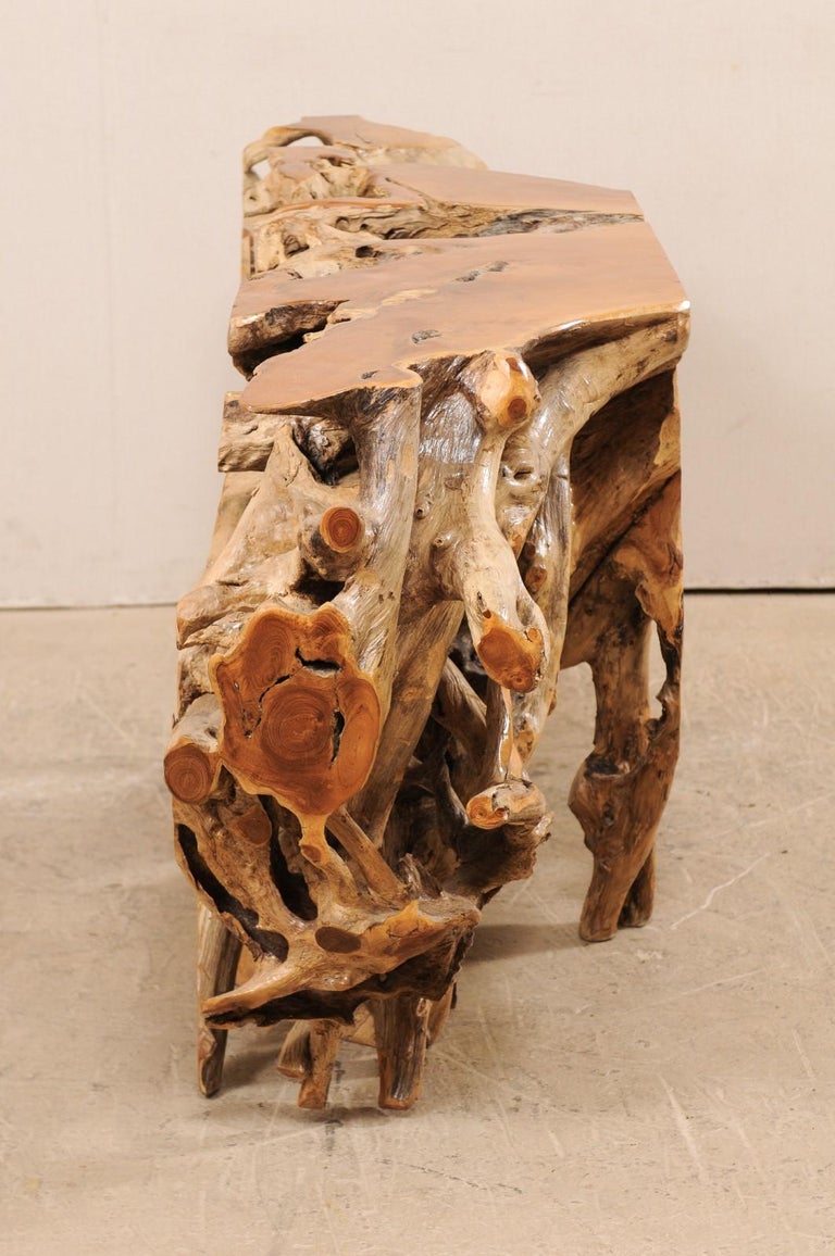 An Exceptionally Beautiful Tropical Teak Hardwood Natural Root Console ...