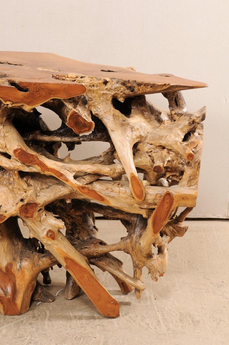 An Exceptionally Beautiful Tropical Teak Hardwood Natural Root Console ...