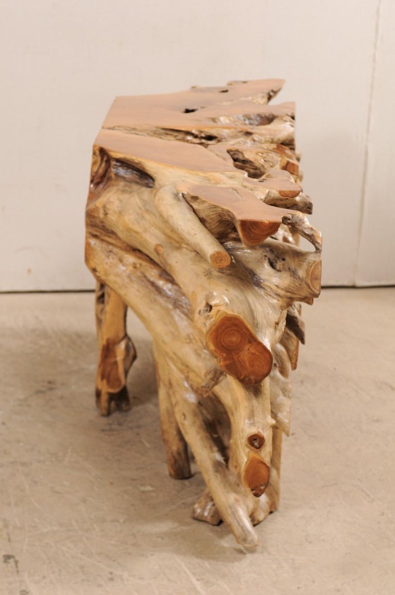 An Exceptionally Beautiful Tropical Teak Hardwood Natural Root Console ...