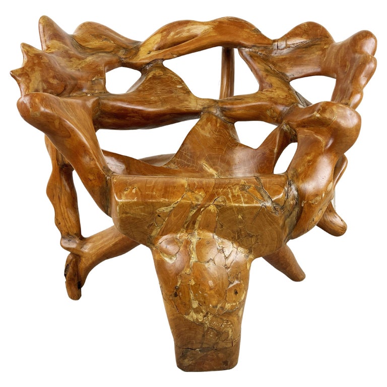 Exotic wooden tree root chair For Sale at 1stDibs