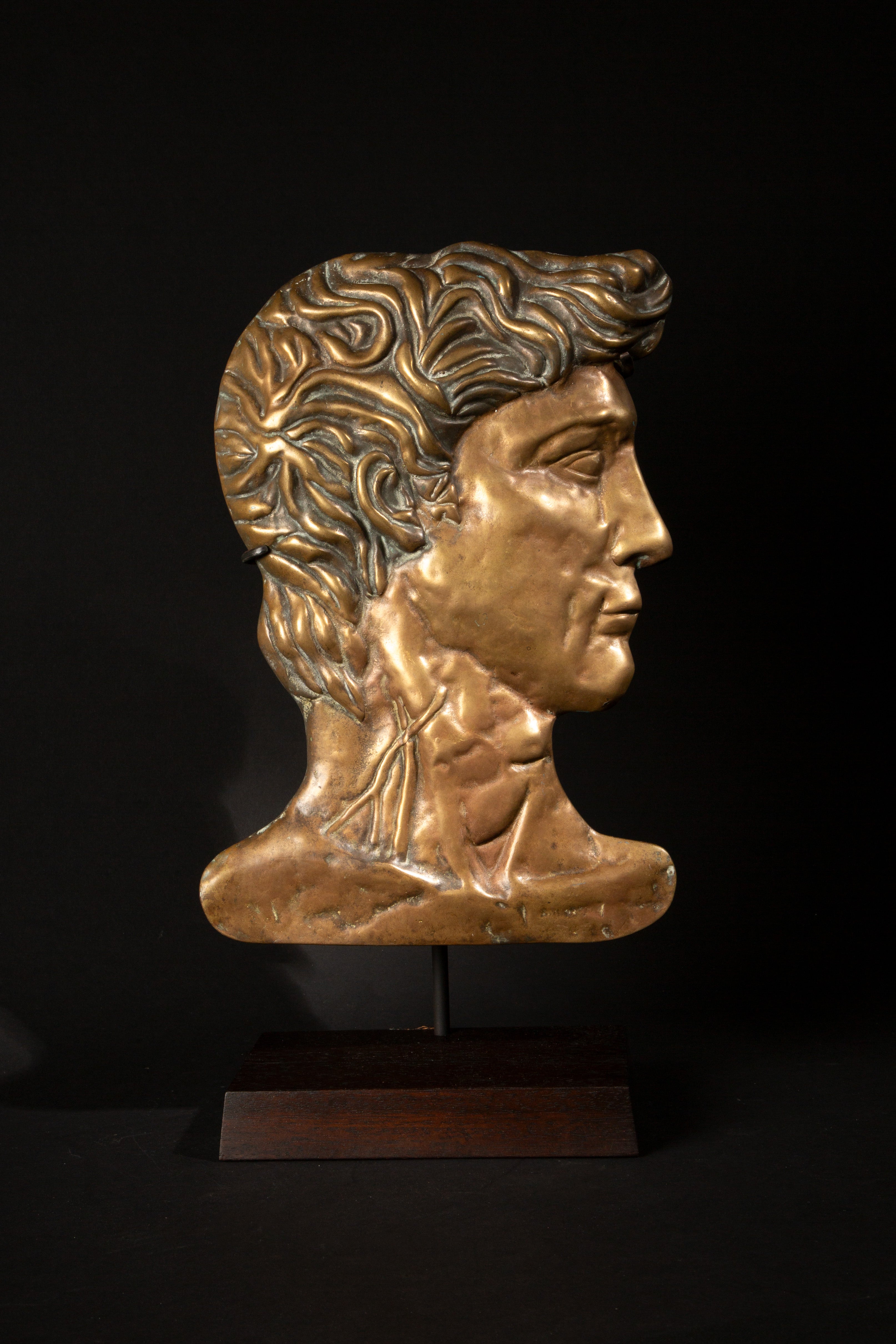 Exquisite 19th-Century Bronze Profile Plaque of David 16.5"H For Sale ...