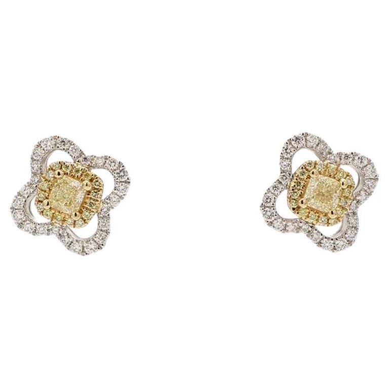 Natural Yellow Radiants and White Diamond .90 Carat TW Gold Stud ...