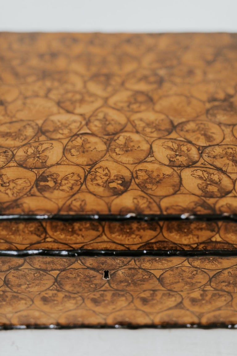 Exquisite Oyster Veneered Hazlenut Box For Sale at 1stDibs