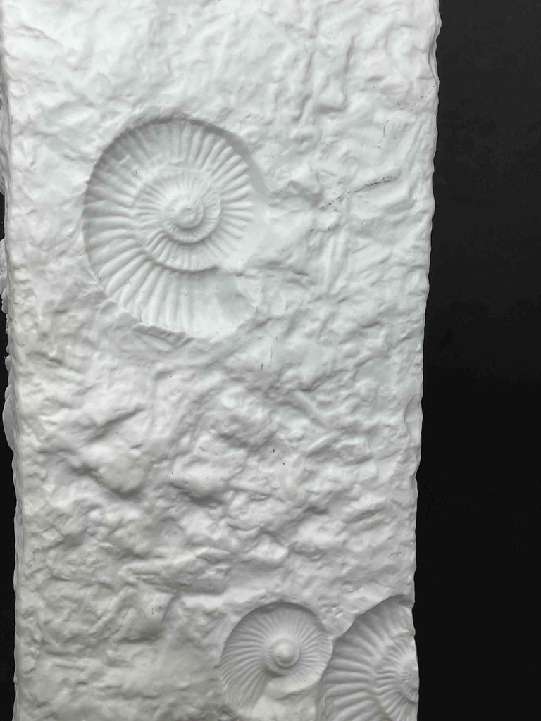 Extra Large Bisque Fossil Ammonite Vases by Kaiser Porcelain, Germany ...