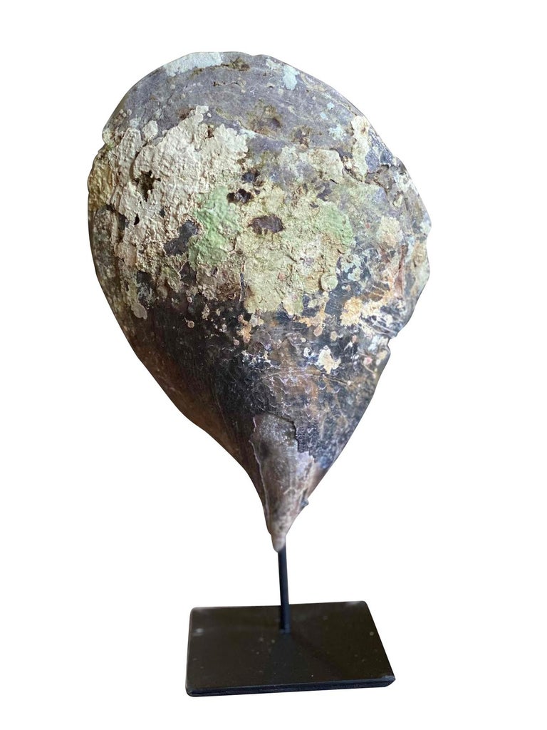 Extra Large Set of Three Mussel Shell Sculptures, Cambodia, 19th ...