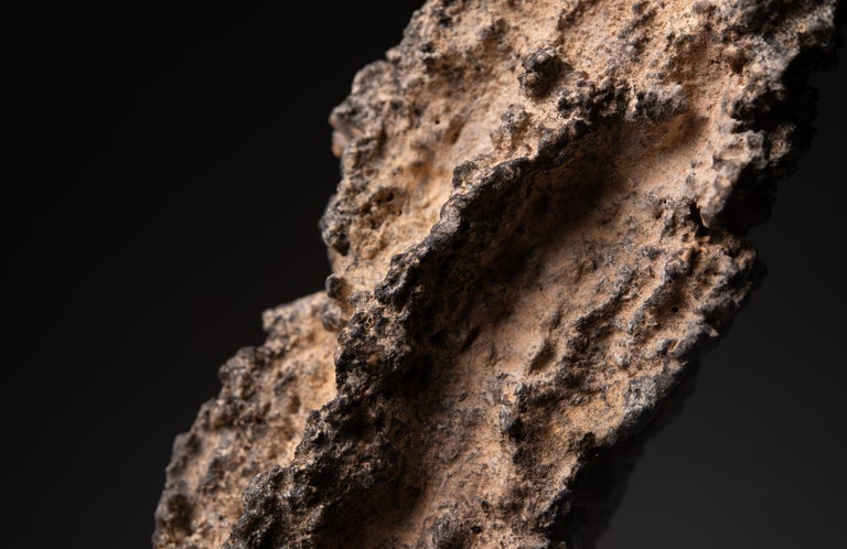 Extraordinarily Large Petrified Lightning Bolt For Sale at 1stDibs