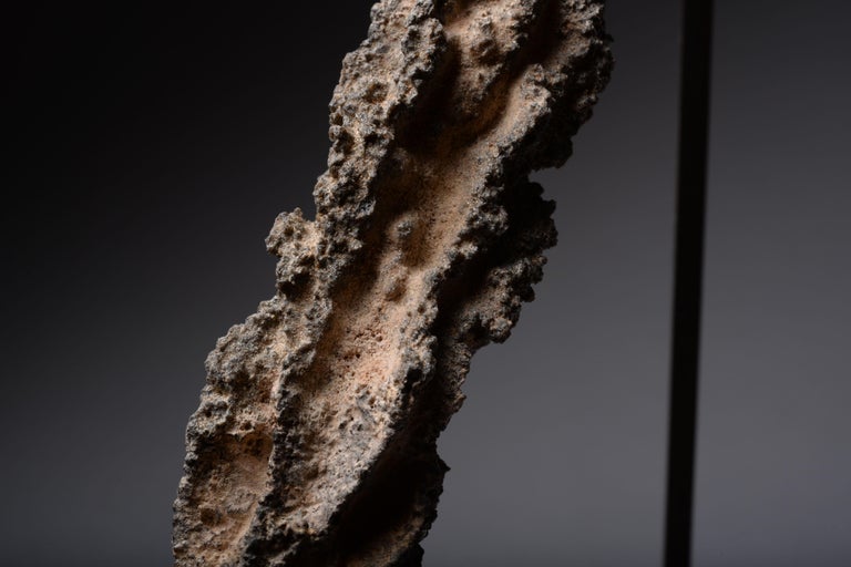 Extraordinarily Large Petrified Lightning Bolt For Sale at 1stDibs
