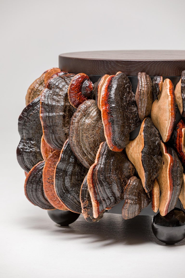 Extravagant Highend Terracotta-Brown Center Table, Collection Mushrooms ...