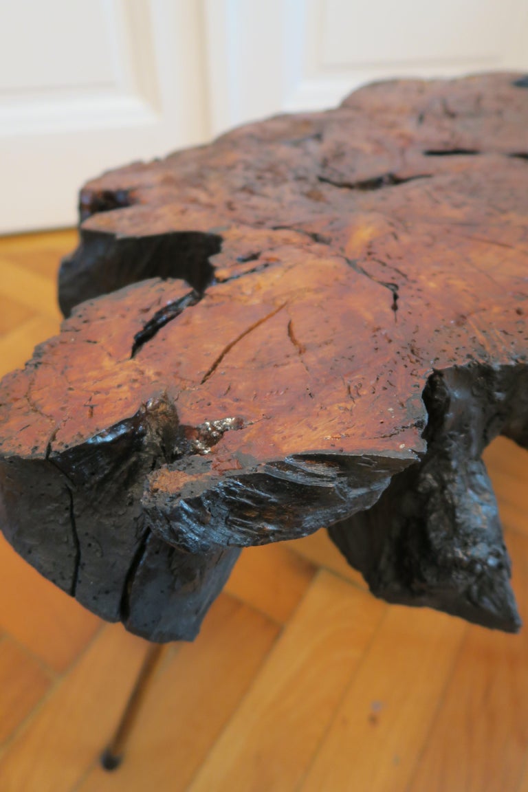 Extravagant Tree Trunk Side Table in the Style of Carl Auböck For Sale ...