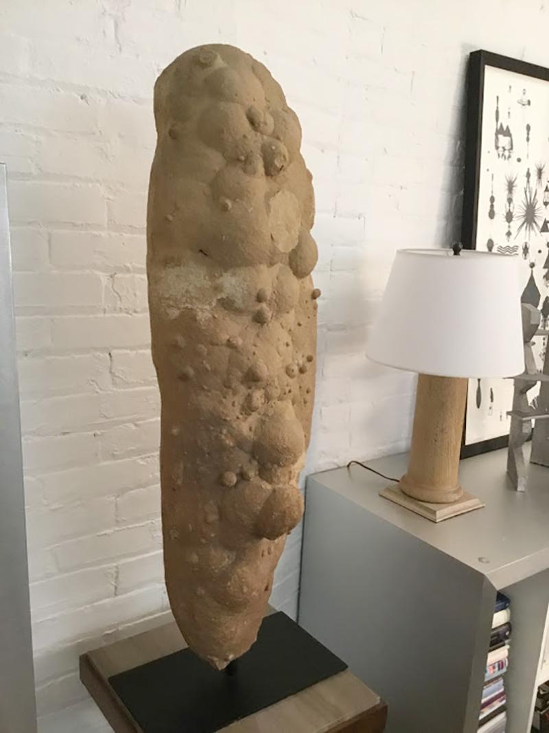 Extremely Large Stand-Mounted Stone Fossil Sculpture For Sale at 1stDibs