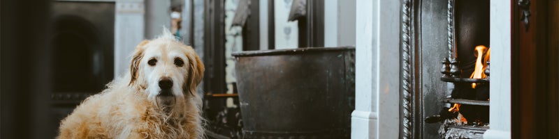 Nostalgia - Manchester SK6 2QN - 1stDibs