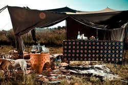 Egg Designs - 1stDibs