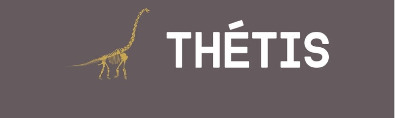 THETIS - Funchal 9000-058 - 1stDibs