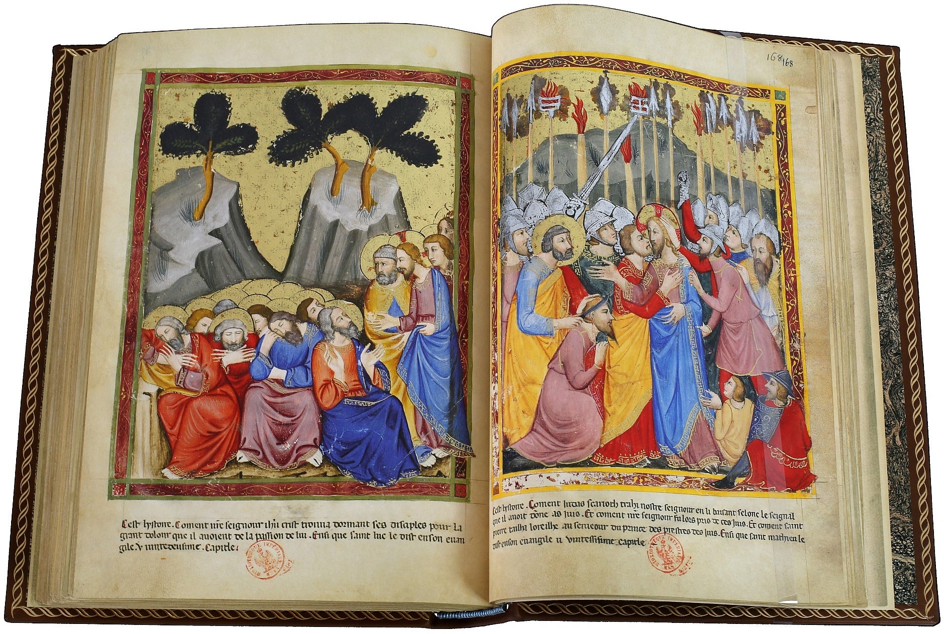 Dioscorides of Cibo and Mattioli - One-Time Only Limited-Edition ...