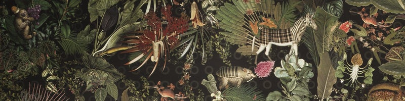 Moooi - BREDA 4817 ZL - 1stDibs