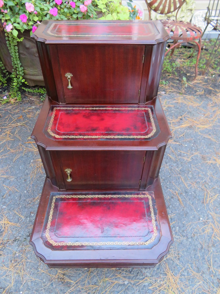 Fabulous Antique Mahogany Library Steps / Side Table For Sale at 1stDibs