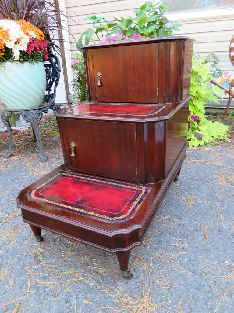 Fabulous Antique Mahogany Library Steps / Side Table For Sale at 1stDibs
