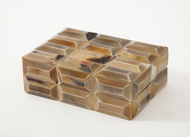 Faceted Horn Box at 1stDibs