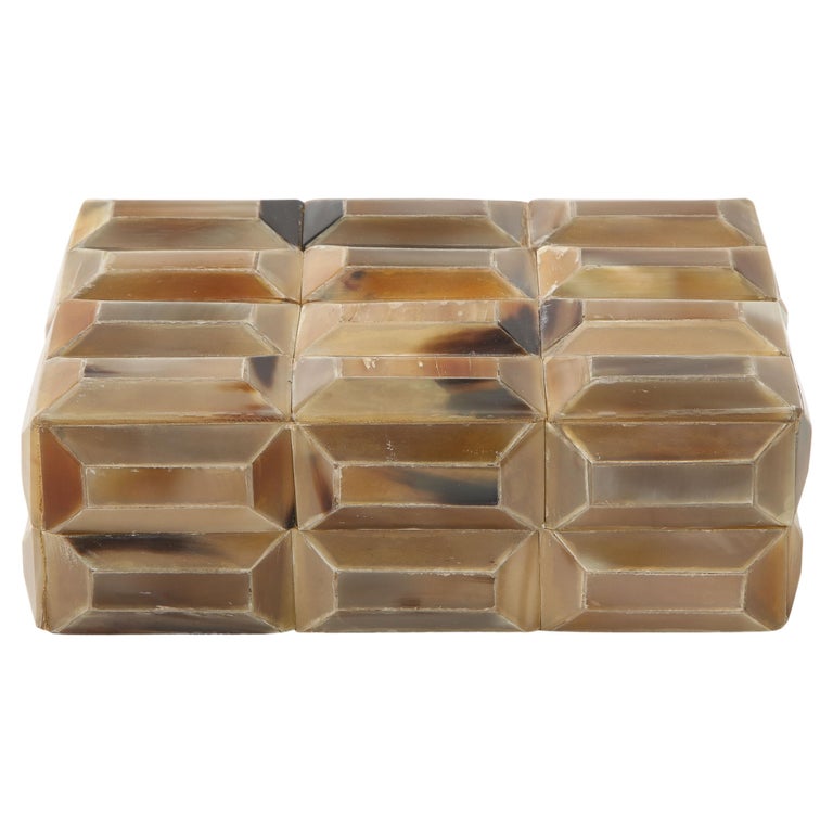 Faceted Horn Box at 1stDibs