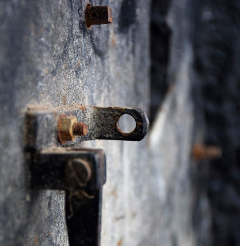 Fairground Lion Shooting Target, circa 1910 at 1stDibs