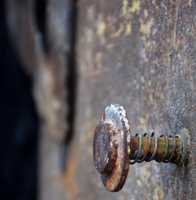 Fairground Lion Shooting Target, circa 1910 at 1stDibs