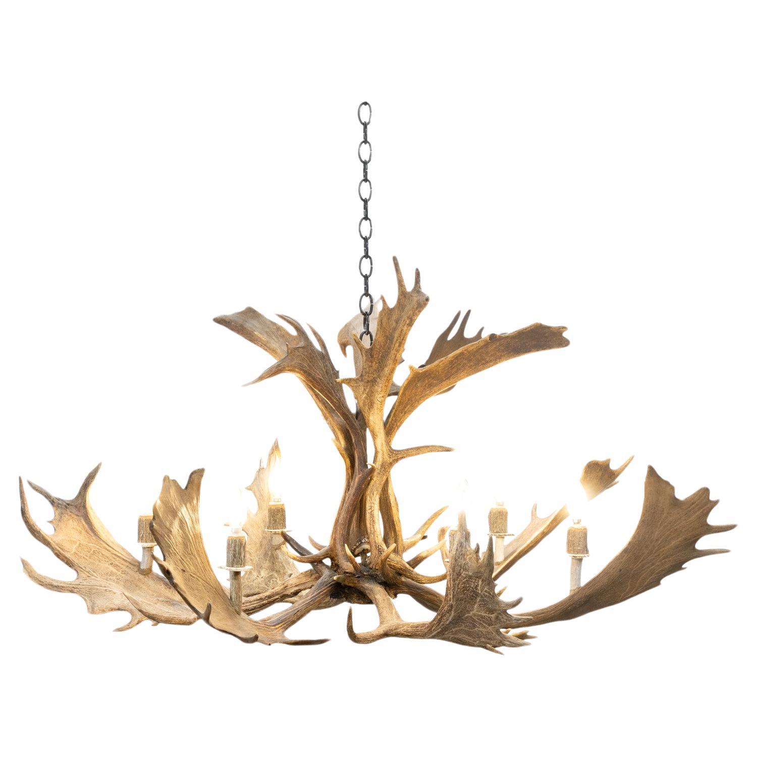 Fallow Deer Natural Antler Chandelier For Sale at 1stDibs